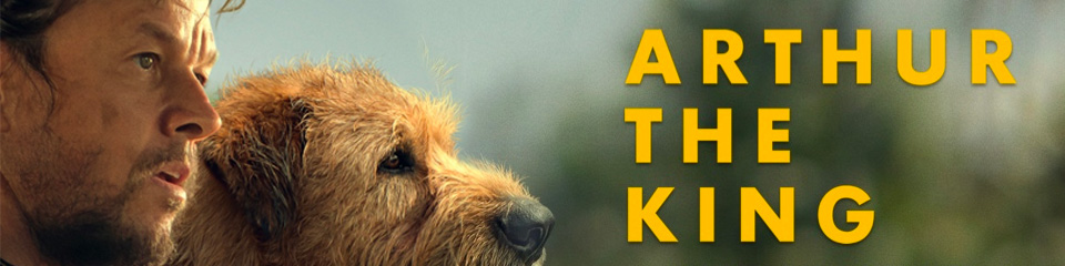 Legacy Theaters Bristol 14 | Movie Theater in Bristol, Virginia