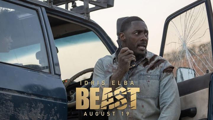 The Transit Drive-In Theatre | Lockport, NY